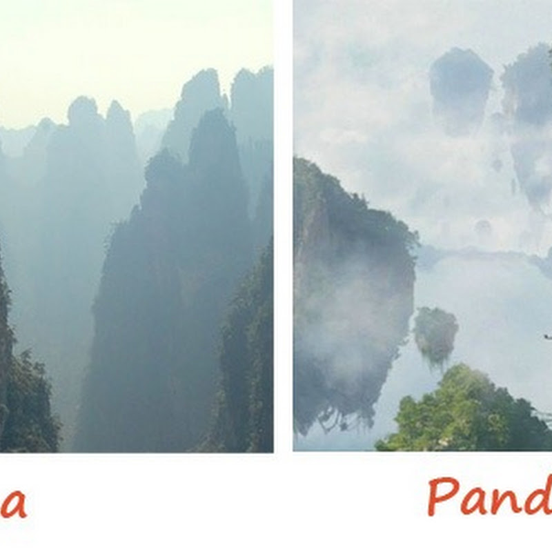 Zhangjiajie National Forest Park – Pandora on Earth | Amusing Planet